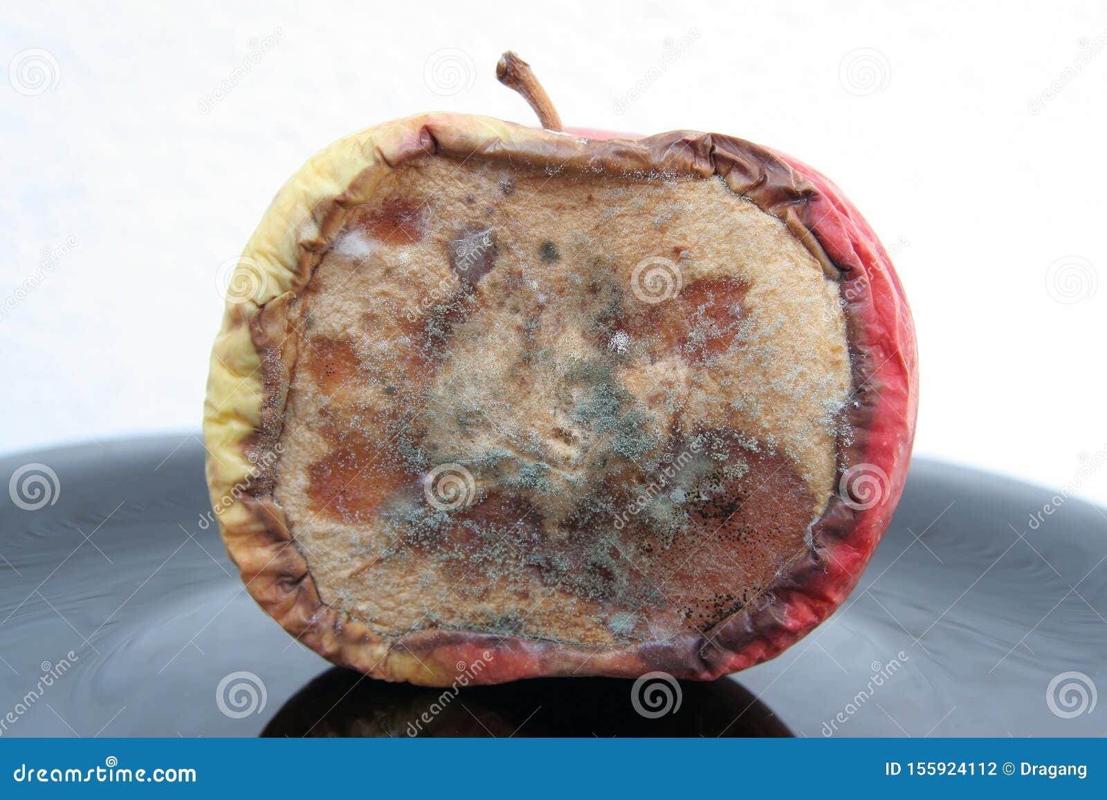 Moldy Apple. Bad Apple. Bad Fruit. Rotten Fruit. Rotten Apple Stock ...