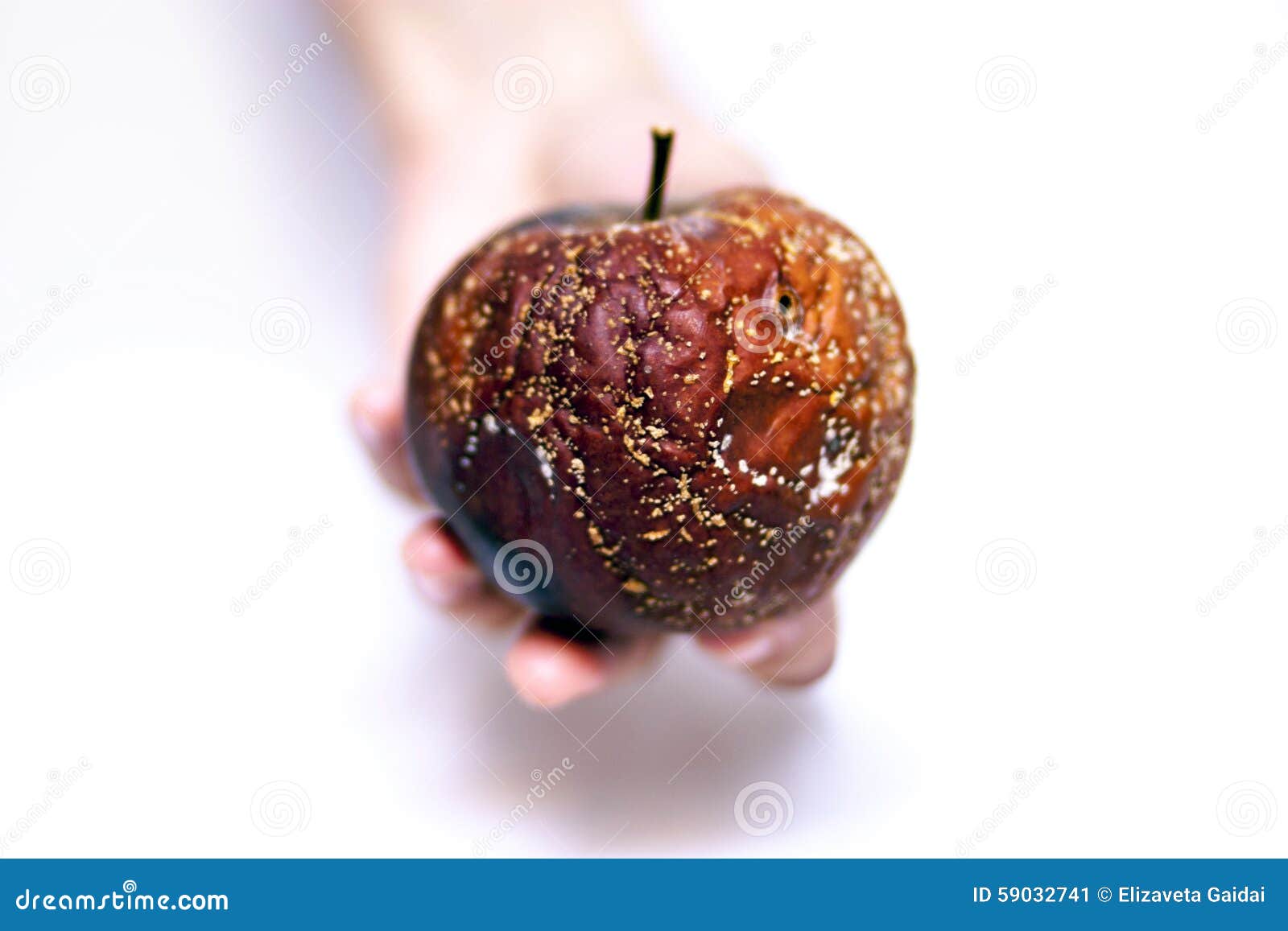 Moldy apple in her hand stock image. Image of white, uneatable - 59032741