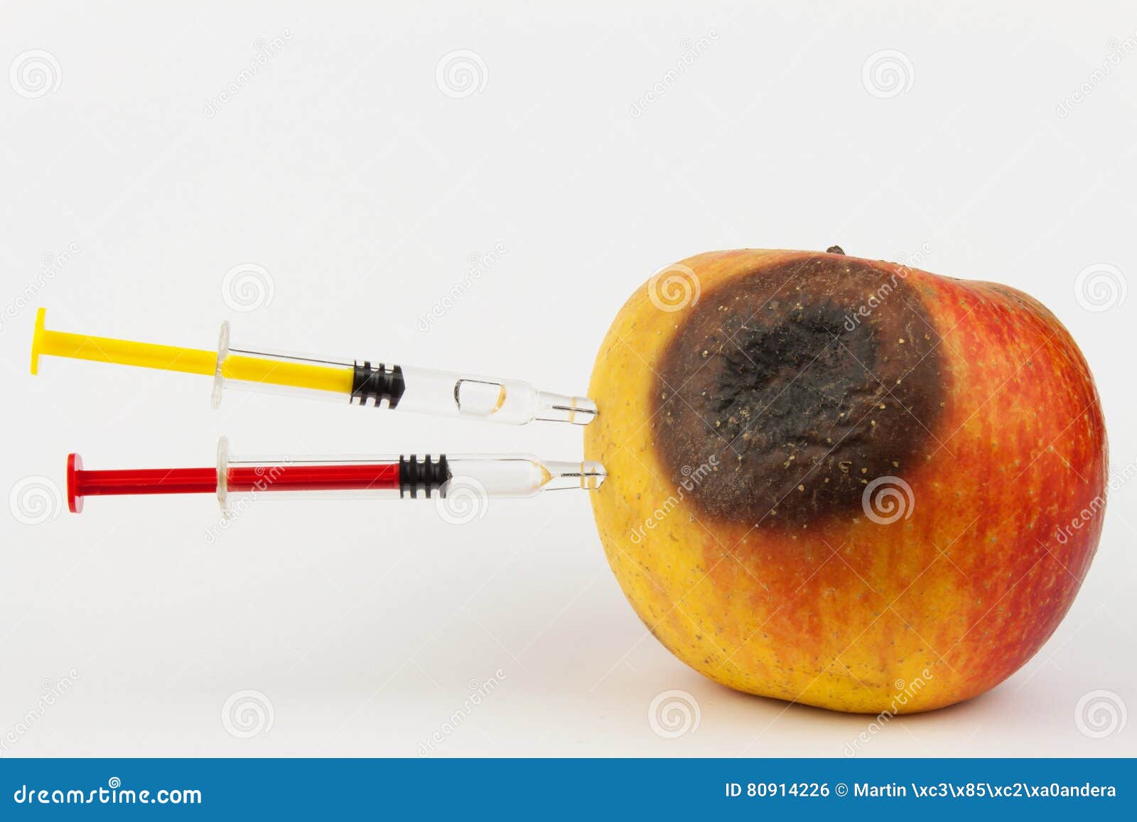 Moldy Apple. Injection into Red Apple Stock Photo - Image of injection ...
