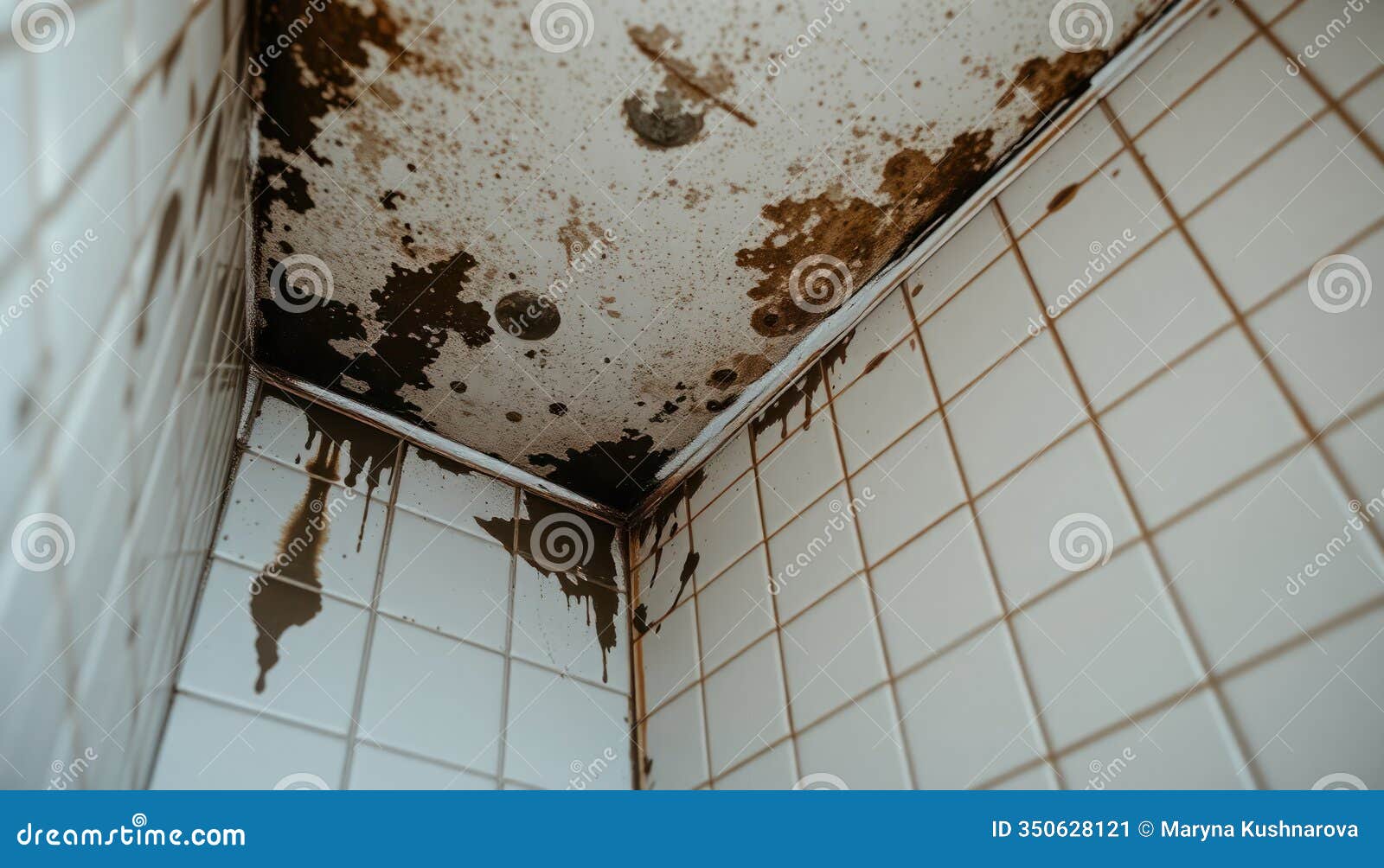 Moldy Bathroom Interior Shows Water Damage On Ceiling, Walls. Dirty ...