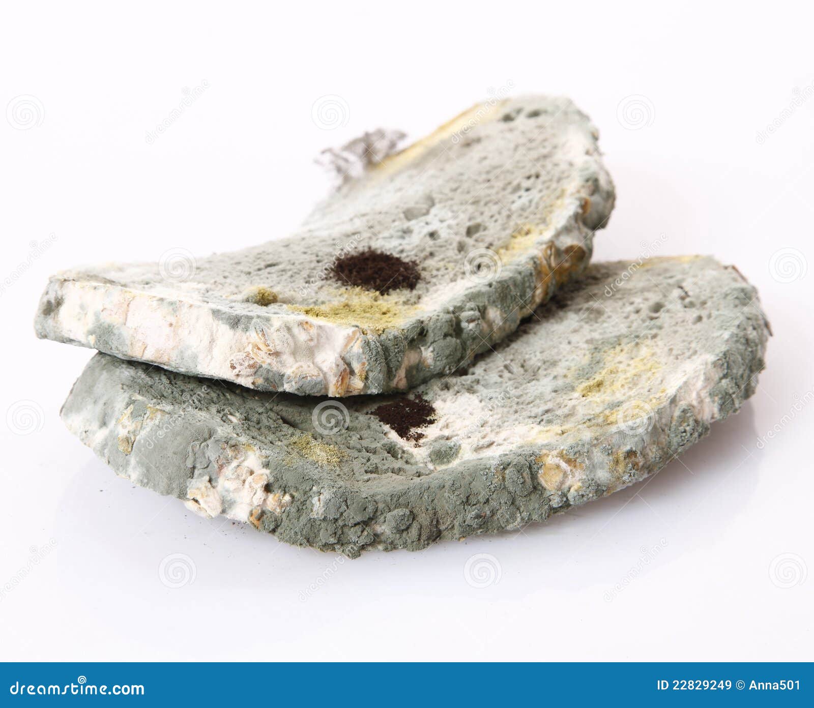 Moldy bread stock image. Image of fungus, green, penicillin - 22829249