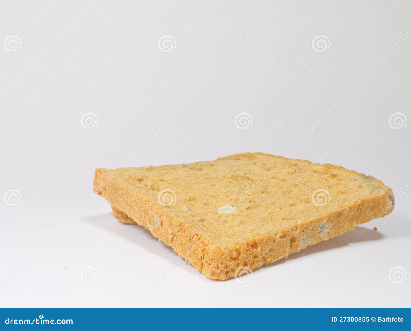 Moldy bread stock image. Image of cracker, moldy, ruined - 27300855