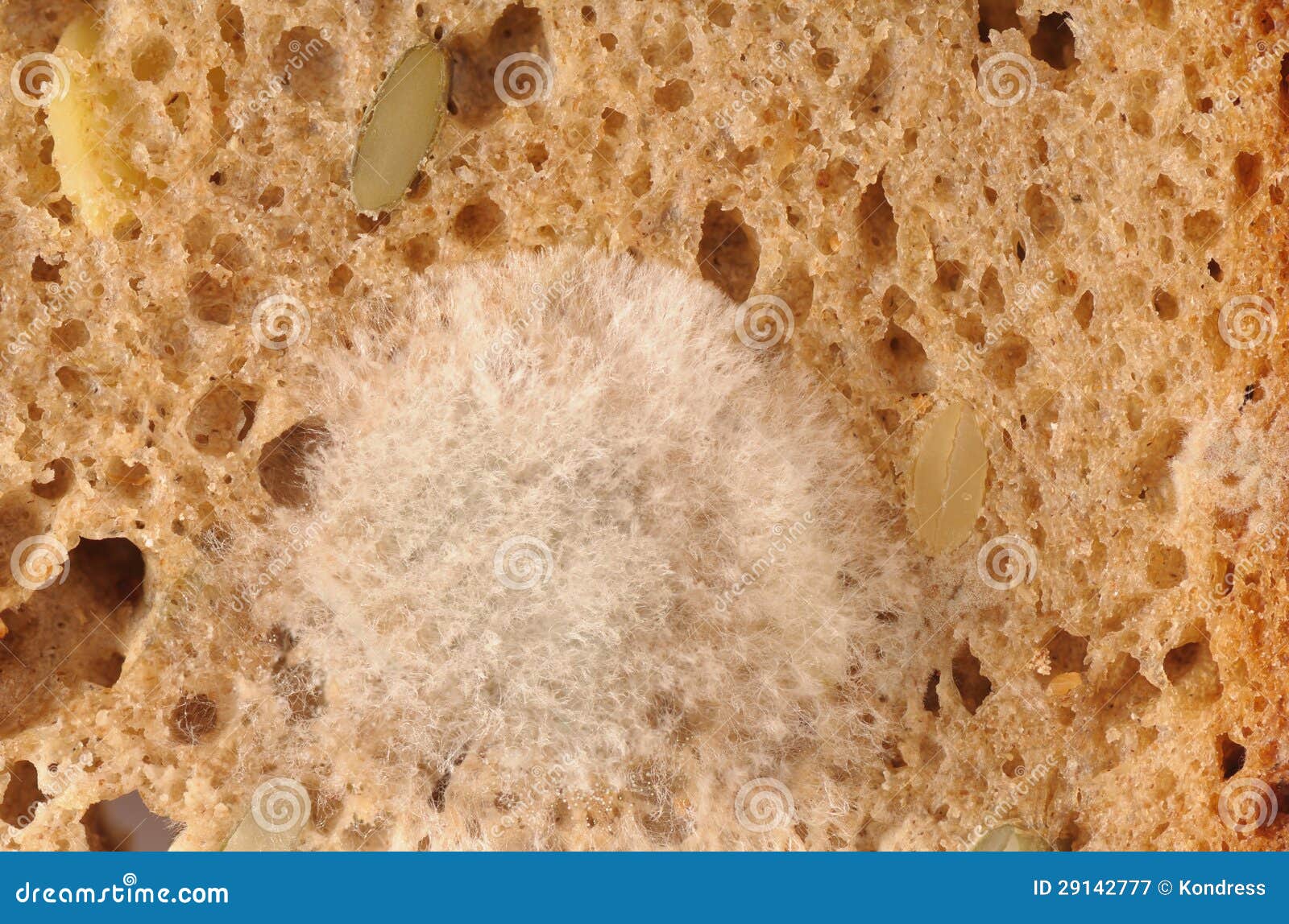 Moldy bread stock image. Image of rotten, brown, slice - 29142777