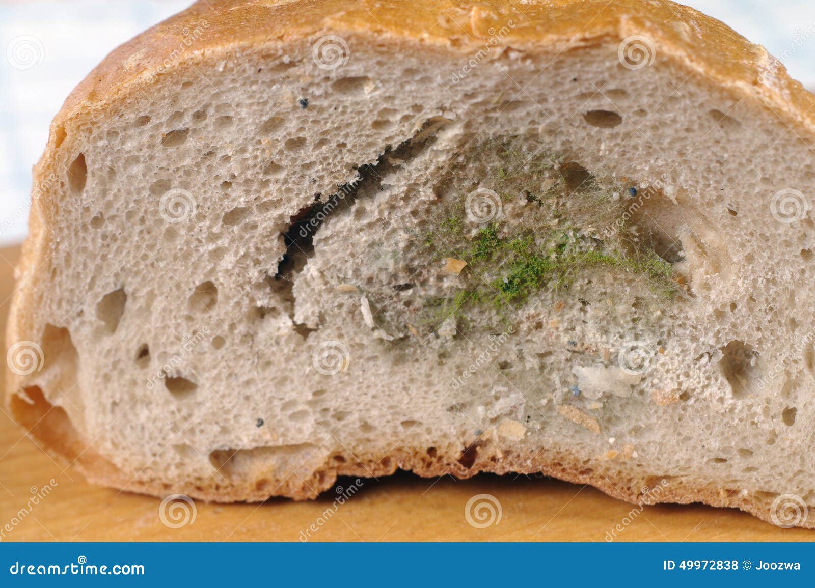 Moldy bread stock photo. Image of moldy, board, kitchen - 49972838