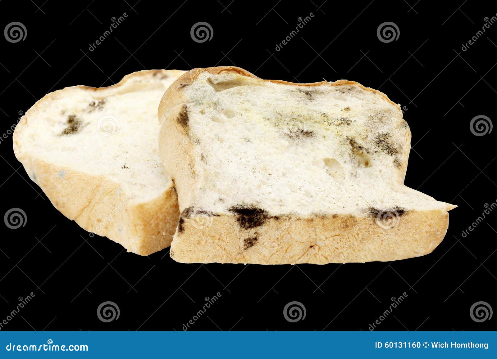 Moldy bread stock photo. Image of rotten, meal, decomposed - 60131160