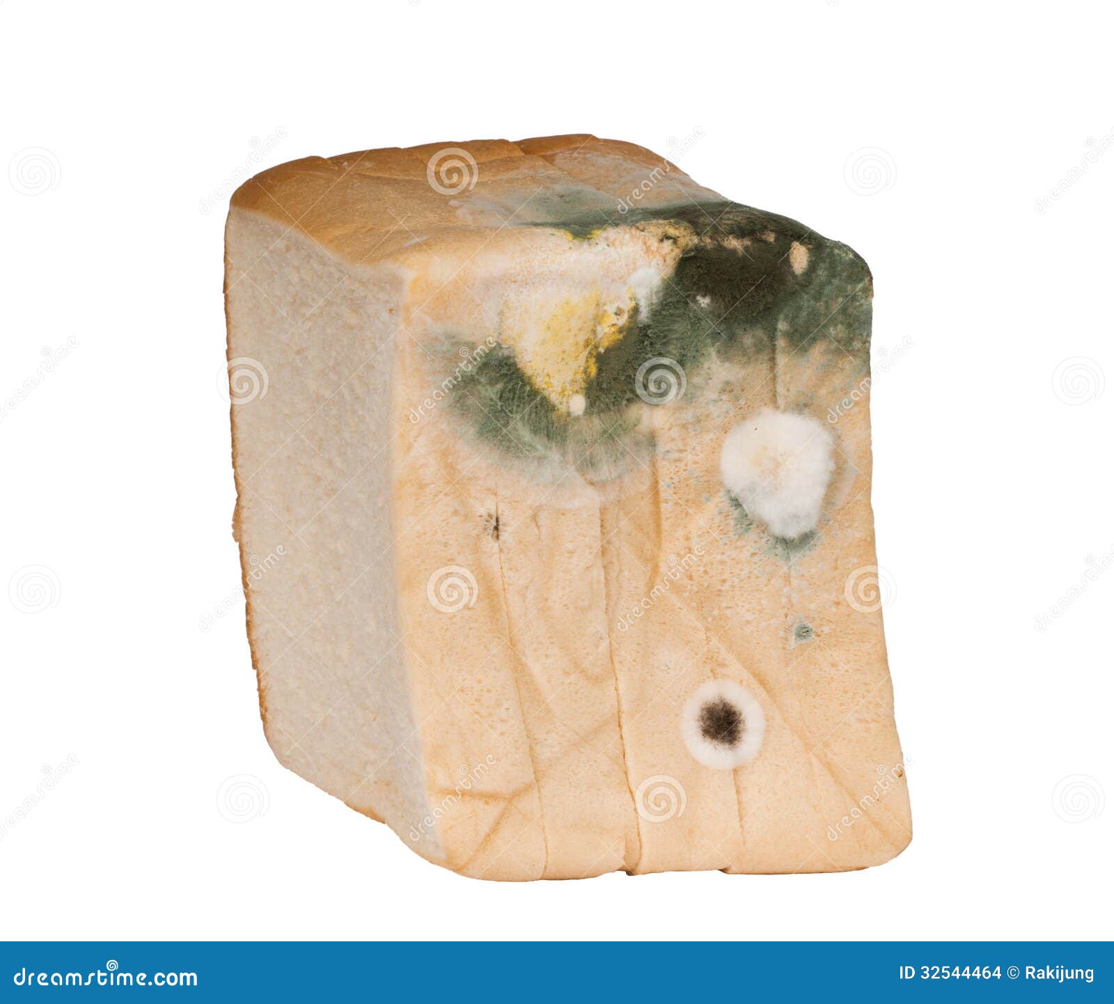 Moldy bread Isolated stock photo. Image of inedible, contaminated ...