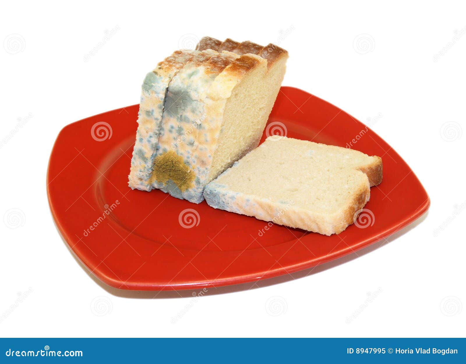 Moldy Bread Isolated on White Stock Image - Image of mildew, mothery ...