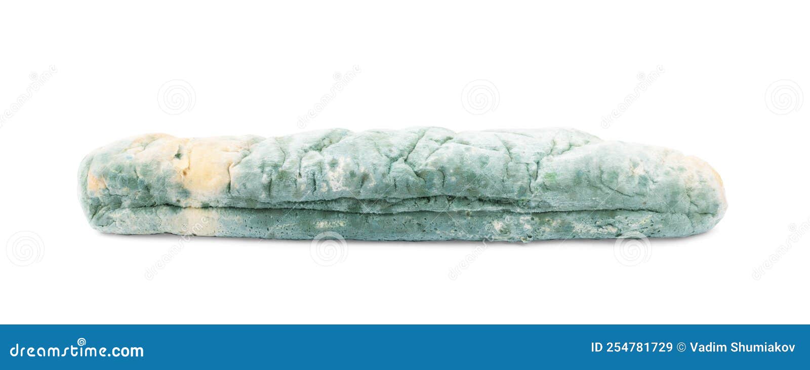 Moldy Bread Isolated on White Background Stock Image - Image of moldy ...