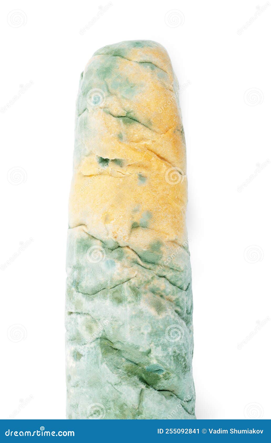 Moldy Bread Isolated on White Background Stock Image - Image of ...