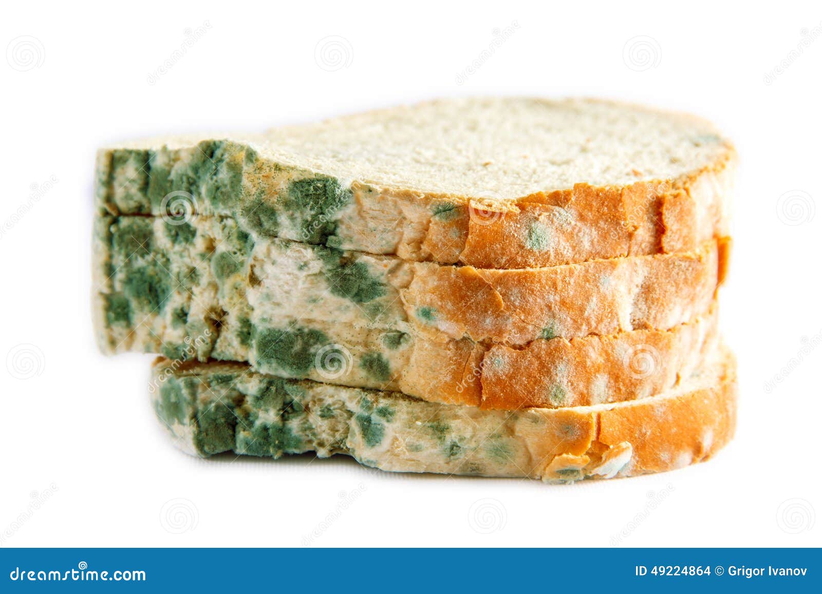 Moldy bread stock photo. Image of microbe, harmful, goods - 49224864