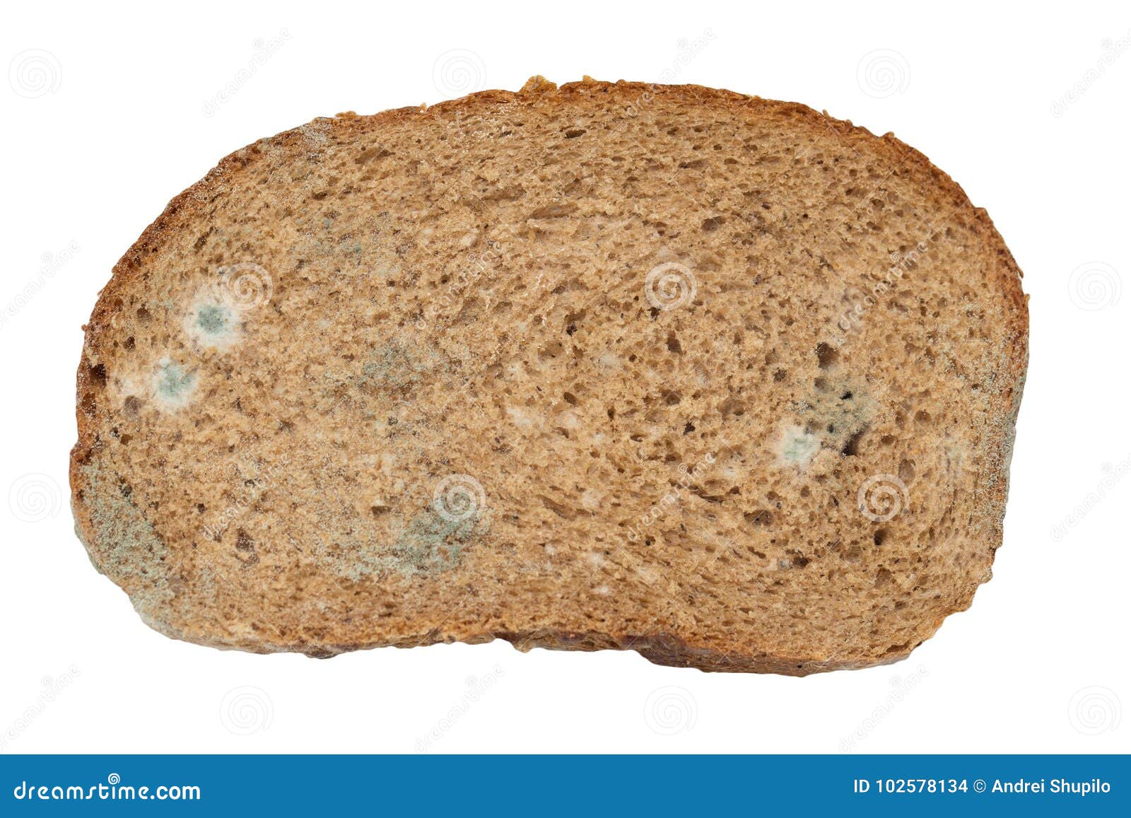 Moldy Bread. Isolated on White Background Stock Photo - Image of color ...