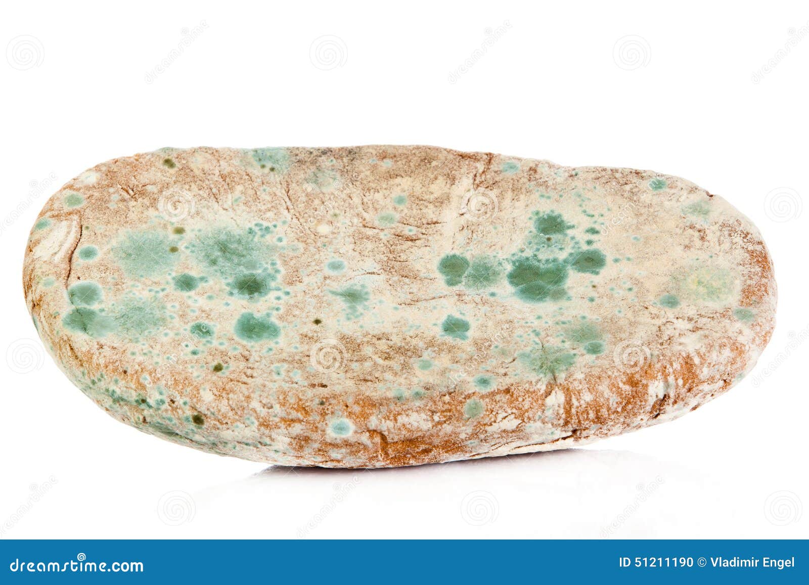 Moldy Bread Isolated on White Background Rotten Food Stock Photo ...