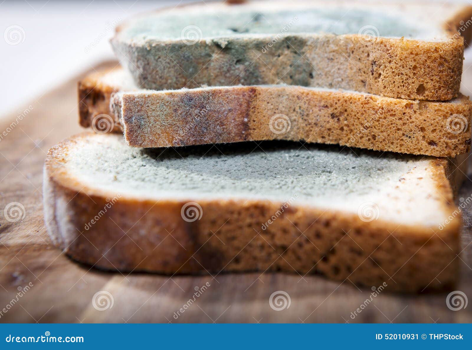 Moldy Bread stock image. Image of microorganism, danger - 52010931