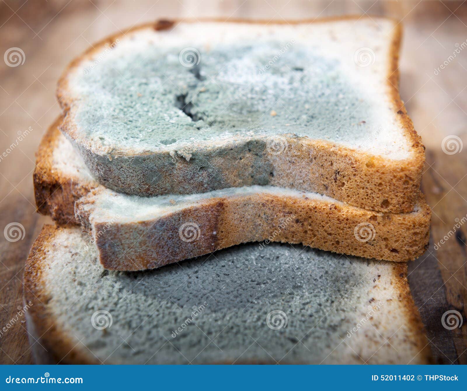 Moldy Bread stock photo. Image of mouldy, white, health - 52011402