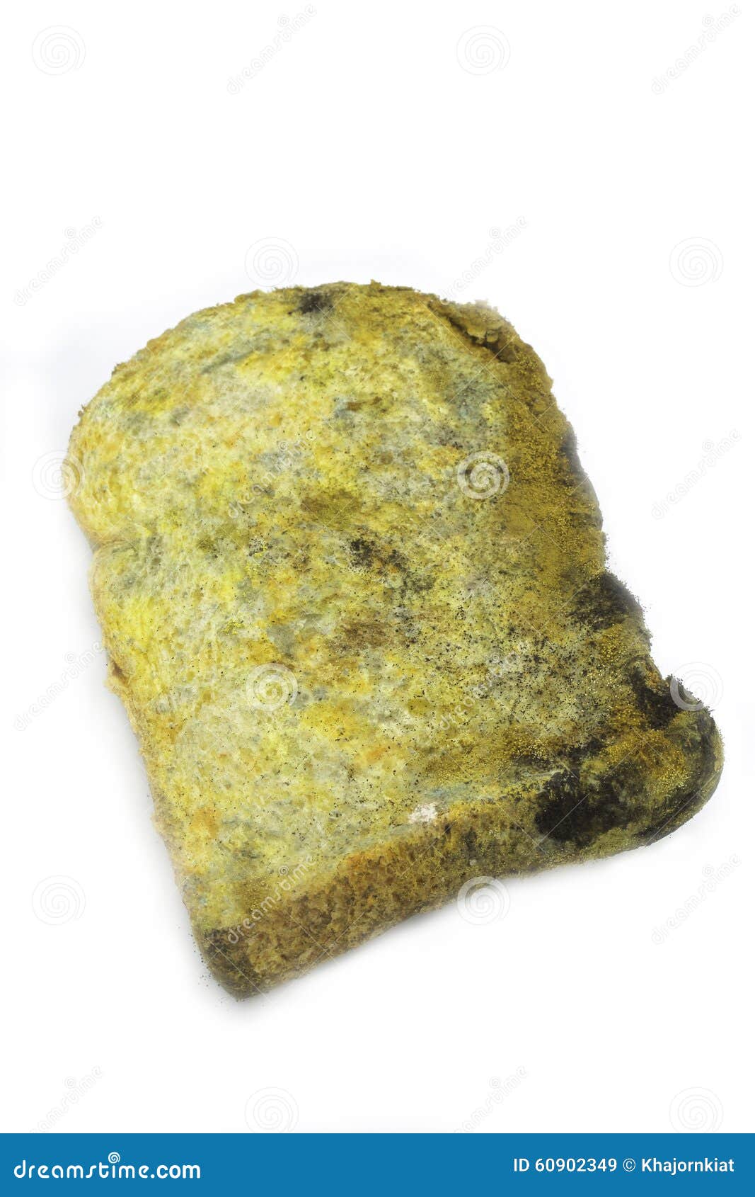 Moldy bread stock image. Image of order, infected, biology - 60902349