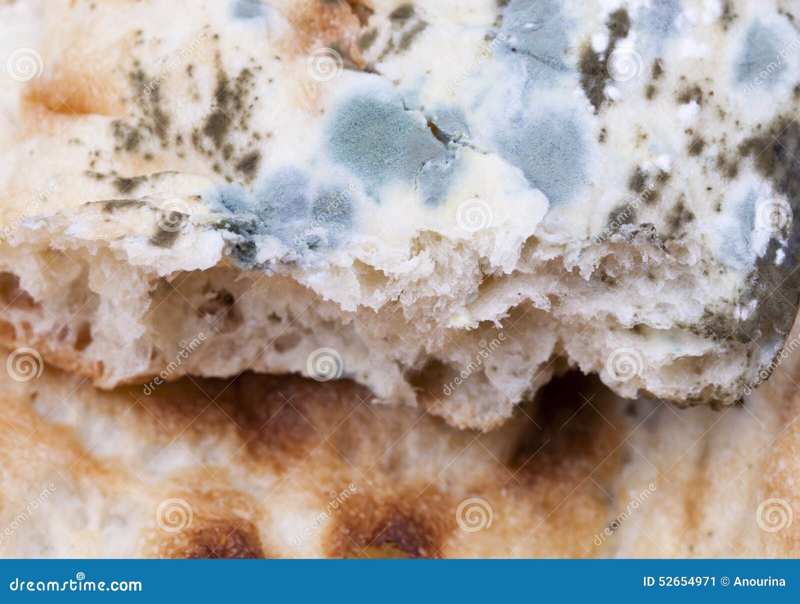 Moldy bread stock image. Image of growth, bread, dirty - 52654971