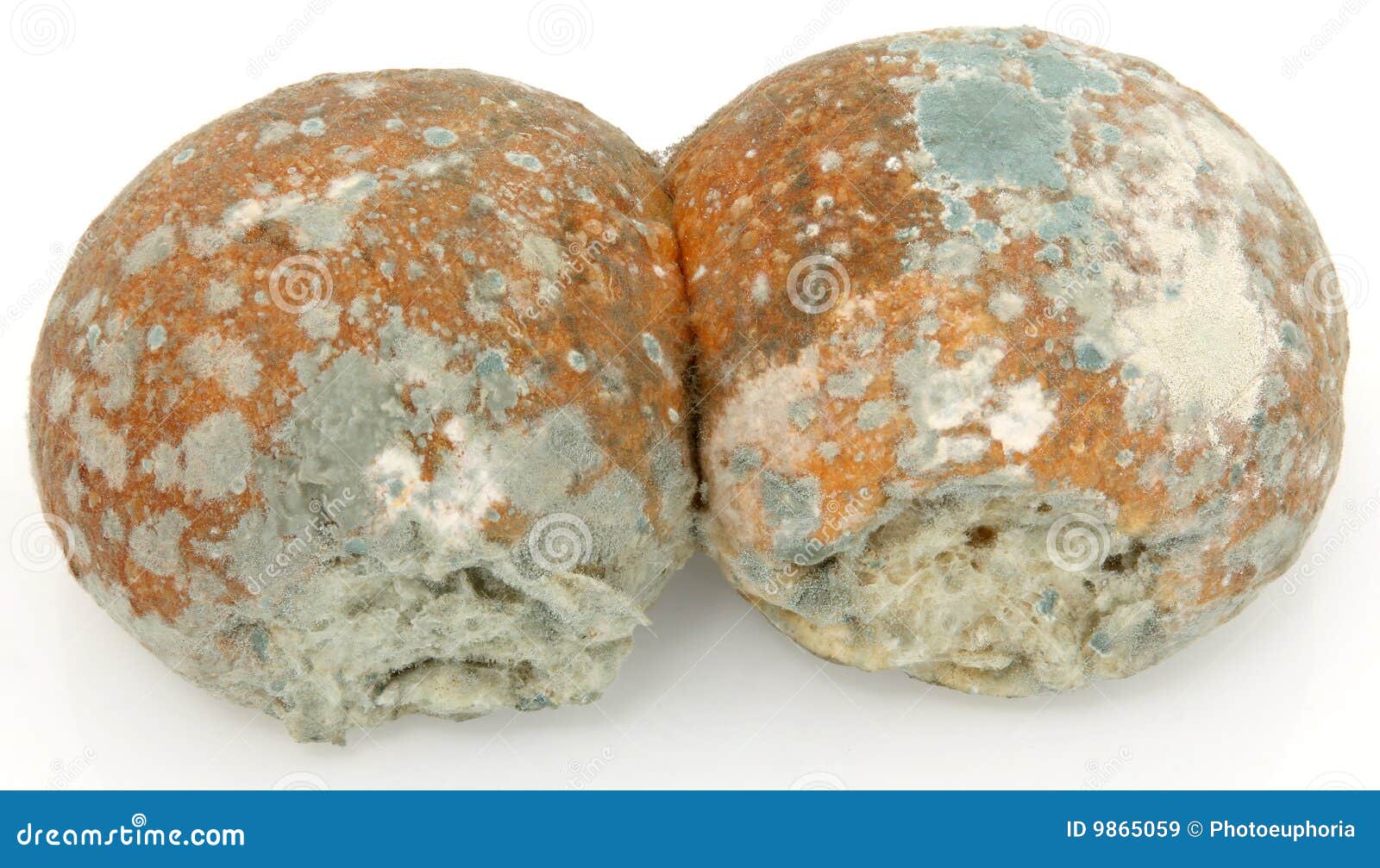 Moldy Bread Rolls stock image. Image of ruined, mildew - 9865059