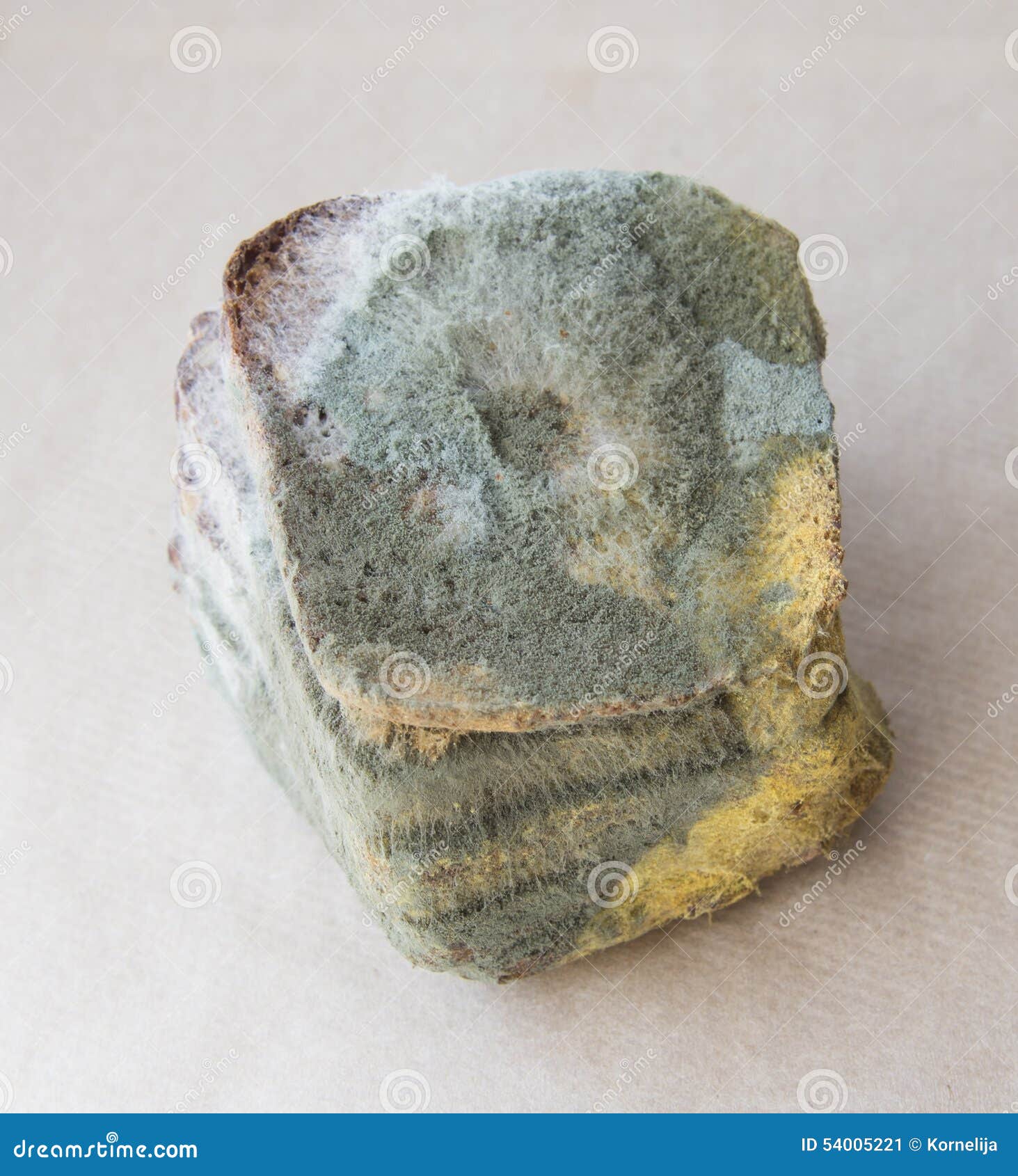 Moldy bread stock image. Image of micro, moldy, food - 54005221