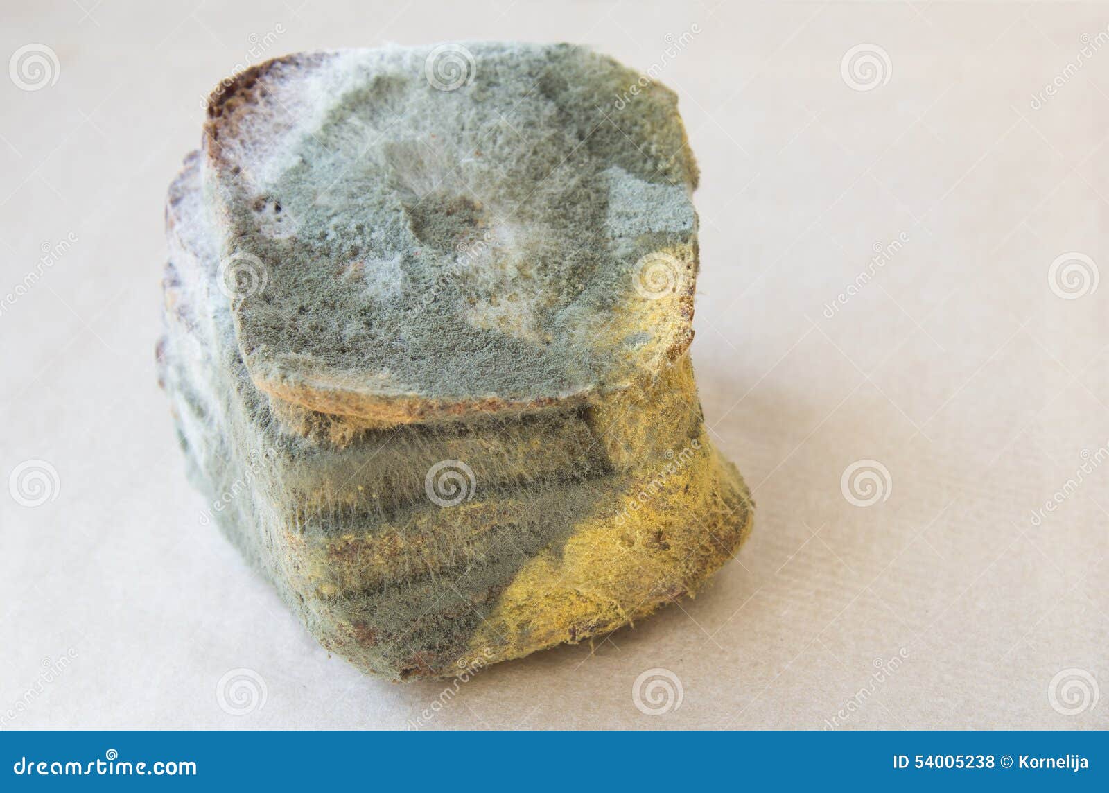Moldy bread stock photo. Image of mildew, fungus, loaf - 54005238