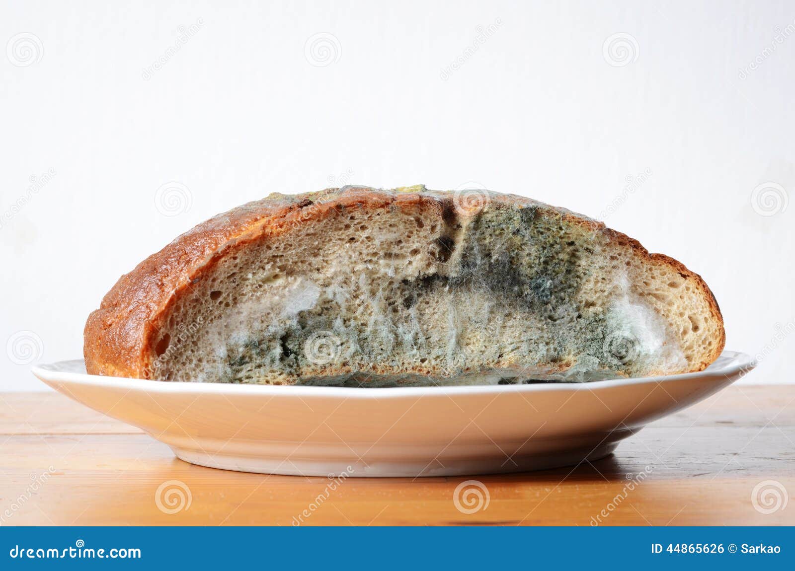 Moldy bread stock photo. Image of kitchen, distasteful - 44865626