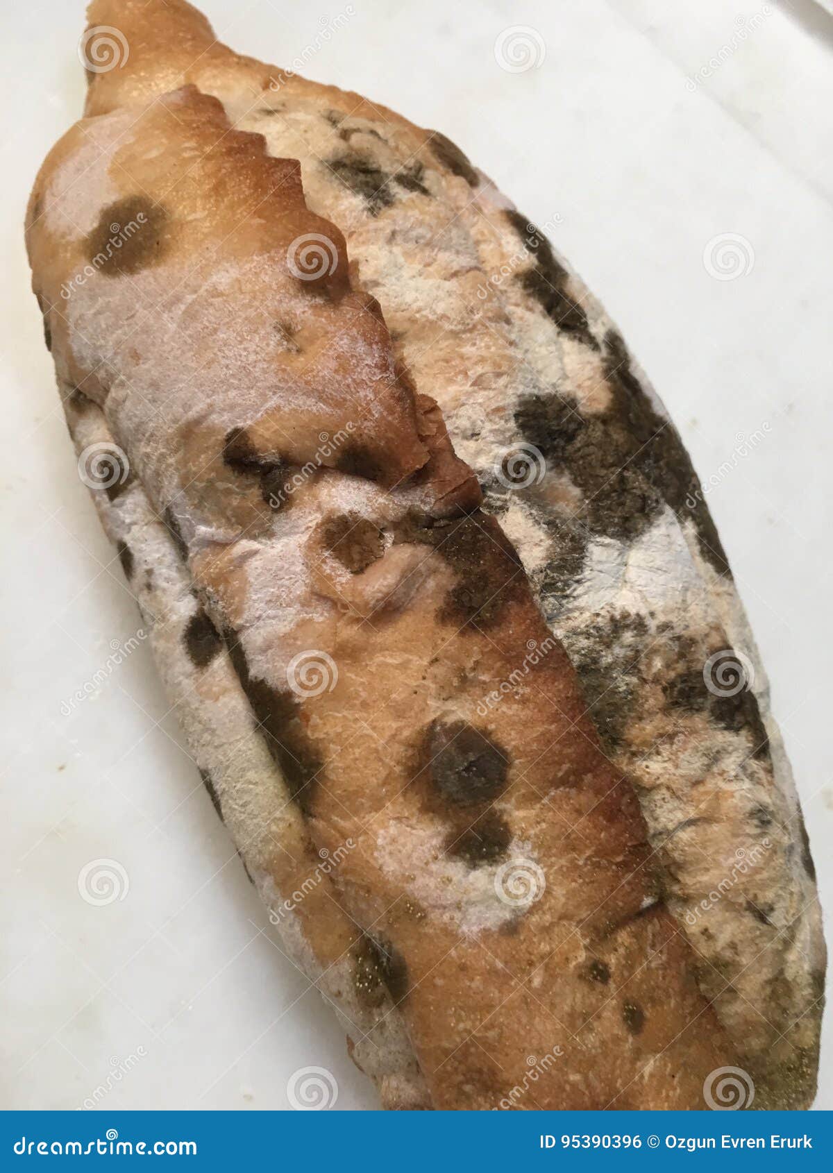 Moldy bread stock photo. Image of dangerous, germs, mould - 95390396