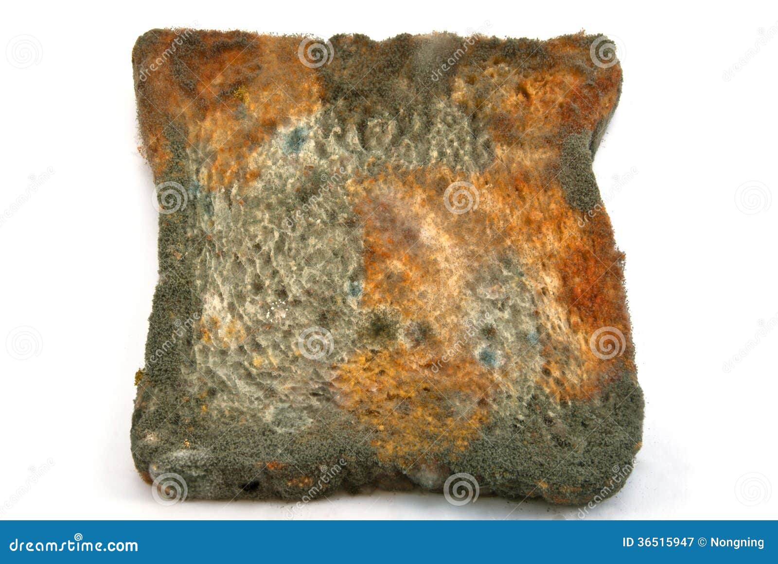 Moldy bread stock image. Image of macro, food, black - 36515947
