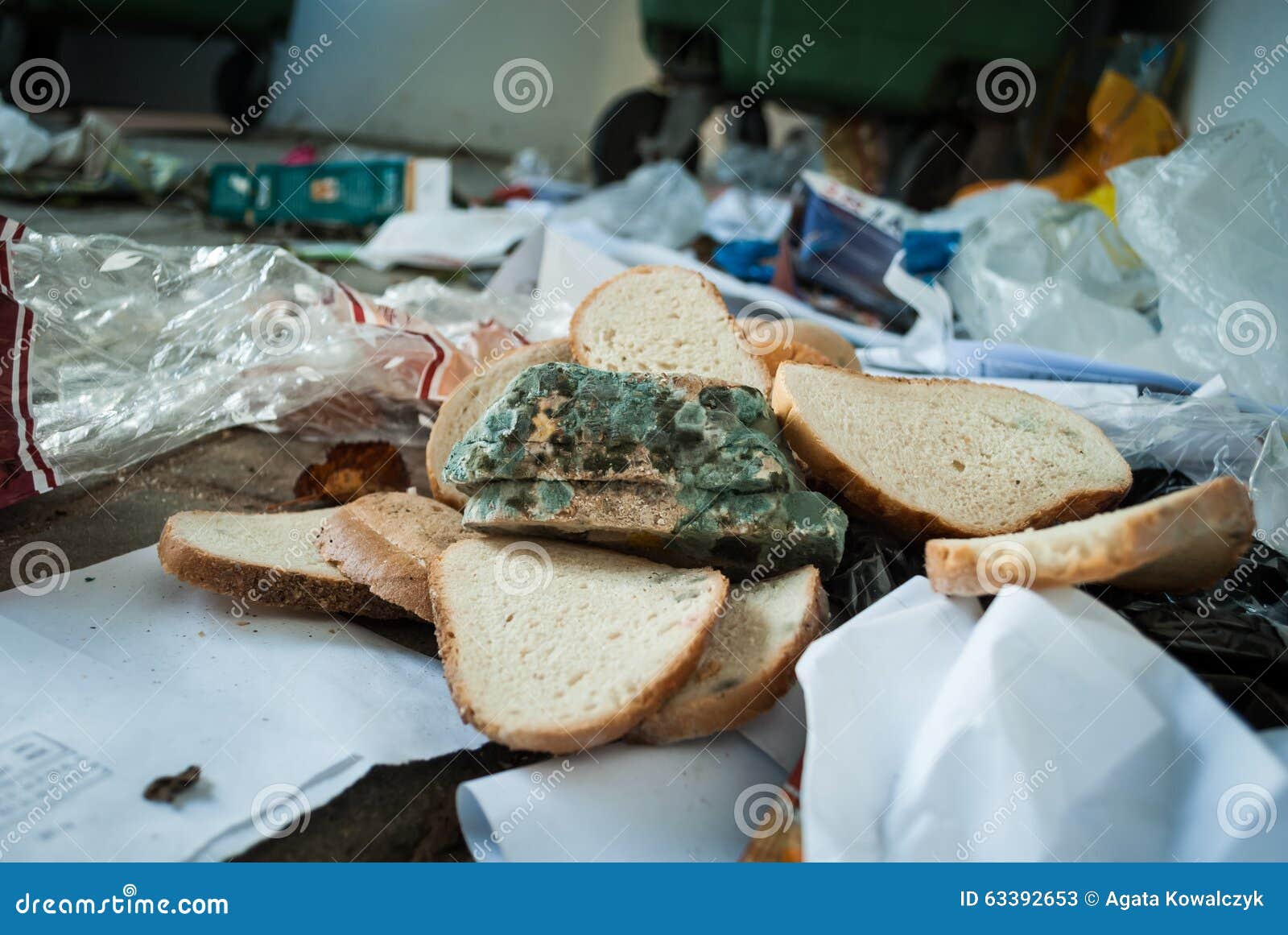Moldy bread in the trash stock image. Image of wasted - 63392653