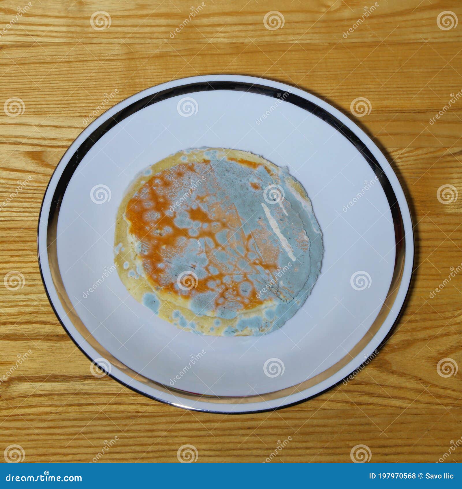 Moldy Bread on the White Plate Stock Photo - Image of moldy, plate ...