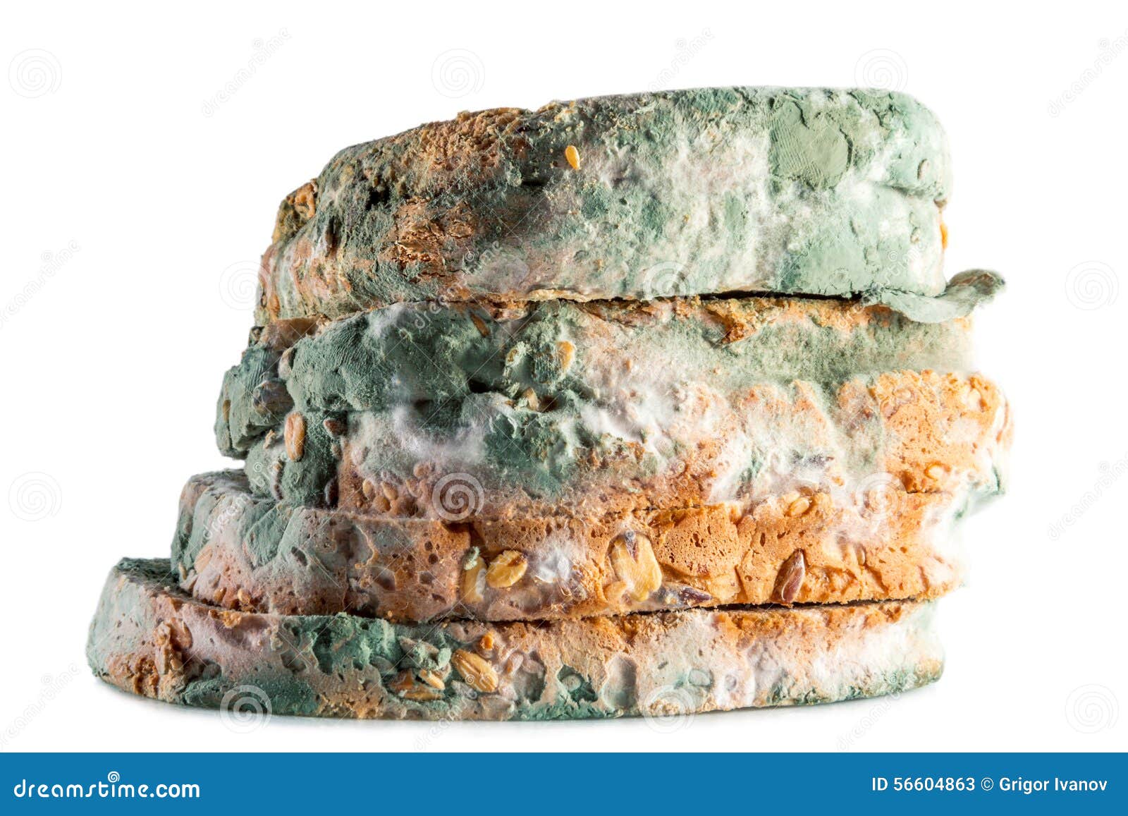 Moldy bread whole grain stock image. Image of aged, grey - 56604863