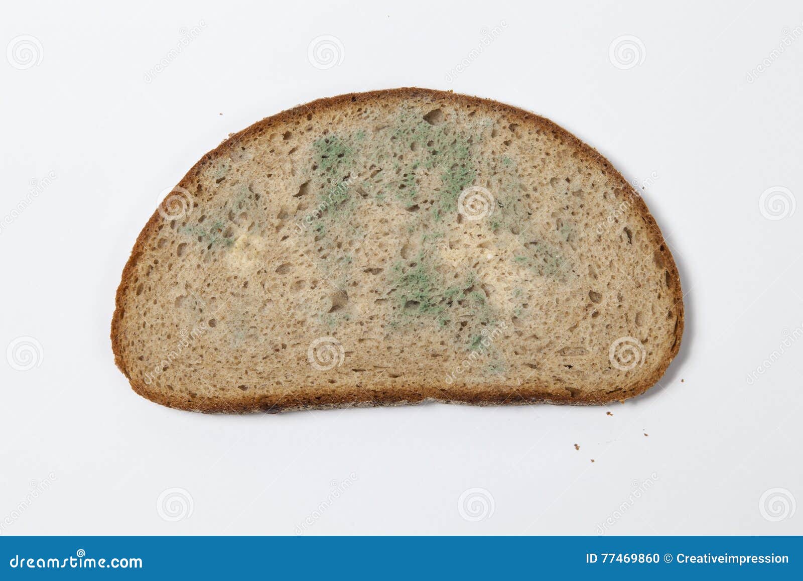 Moldy brown bread stock photo. Image of bread, moldiness - 77469860