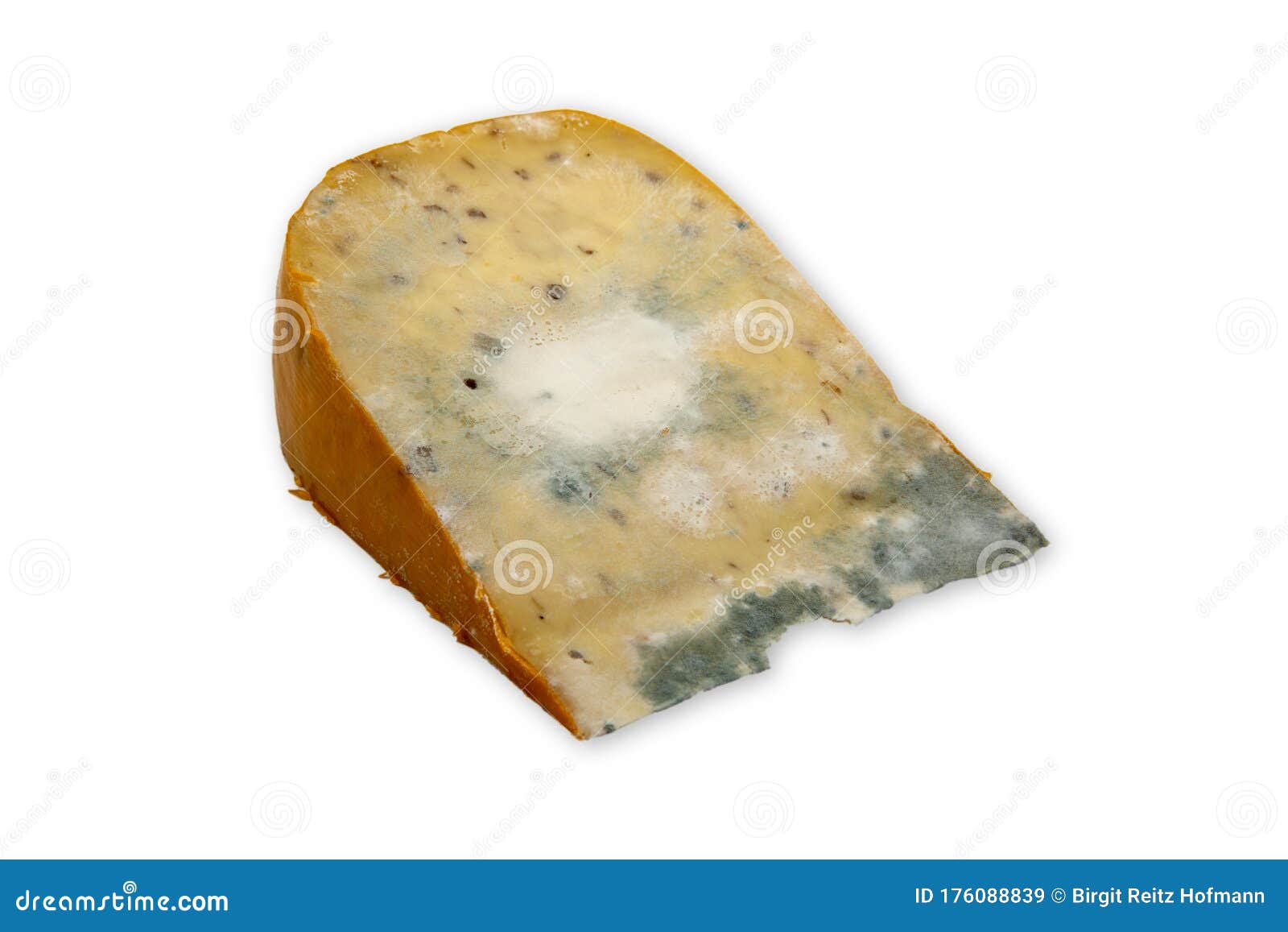 Rotten Cheese