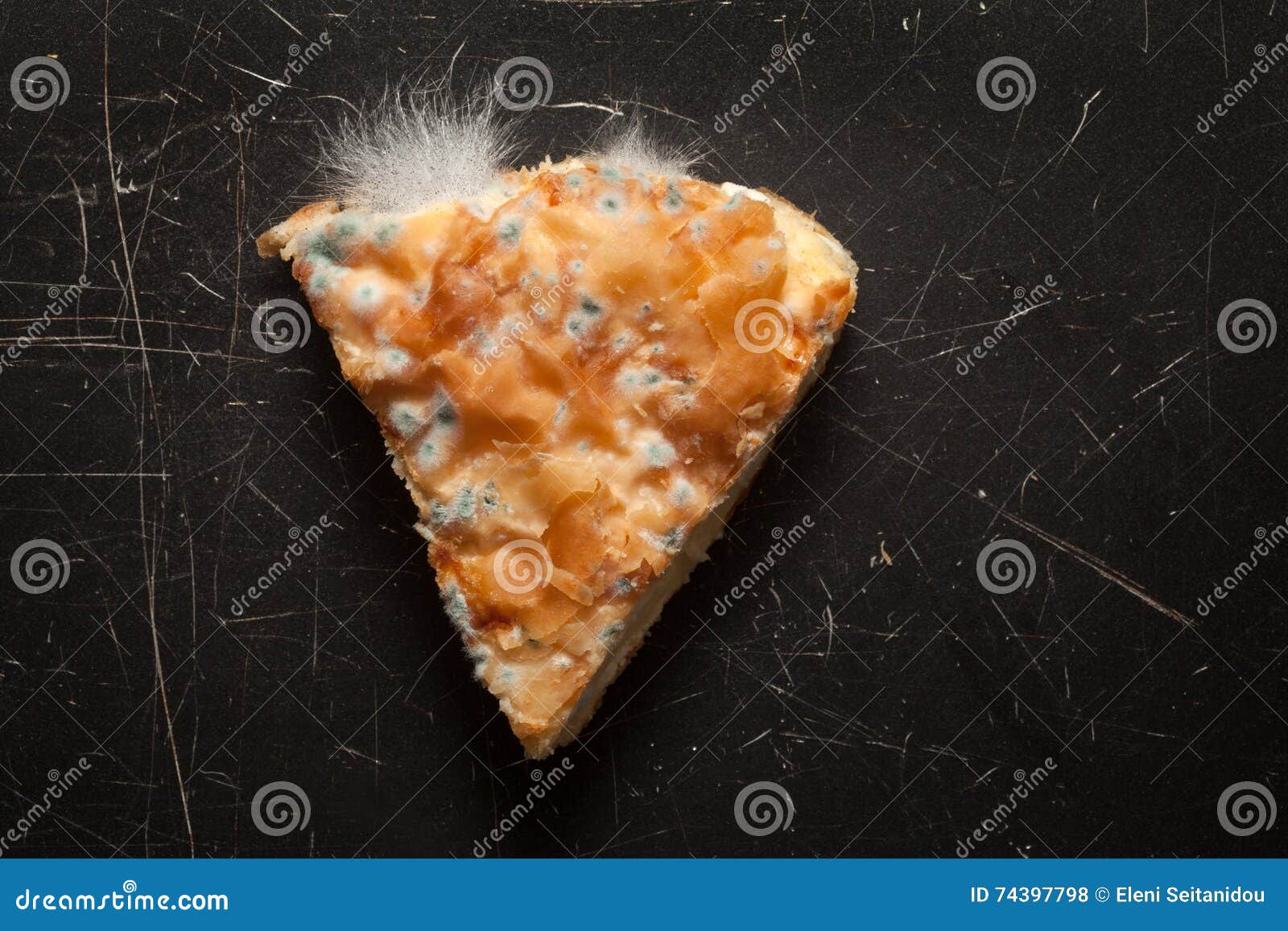 Moldy Cheese Pie Stock Photos - Free & Royalty-Free Stock Photos from ...