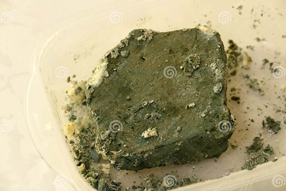 Moldy Cheese in a Plate, Moldy Green Cheese Stock Image - Image of rock ...
