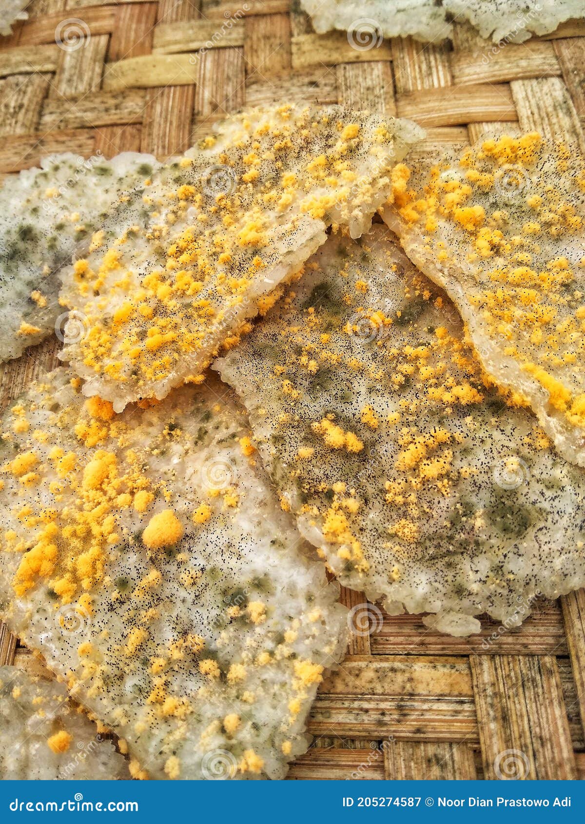 Moldy Cracker Material because it is Damp Stock Image - Image of plant ...