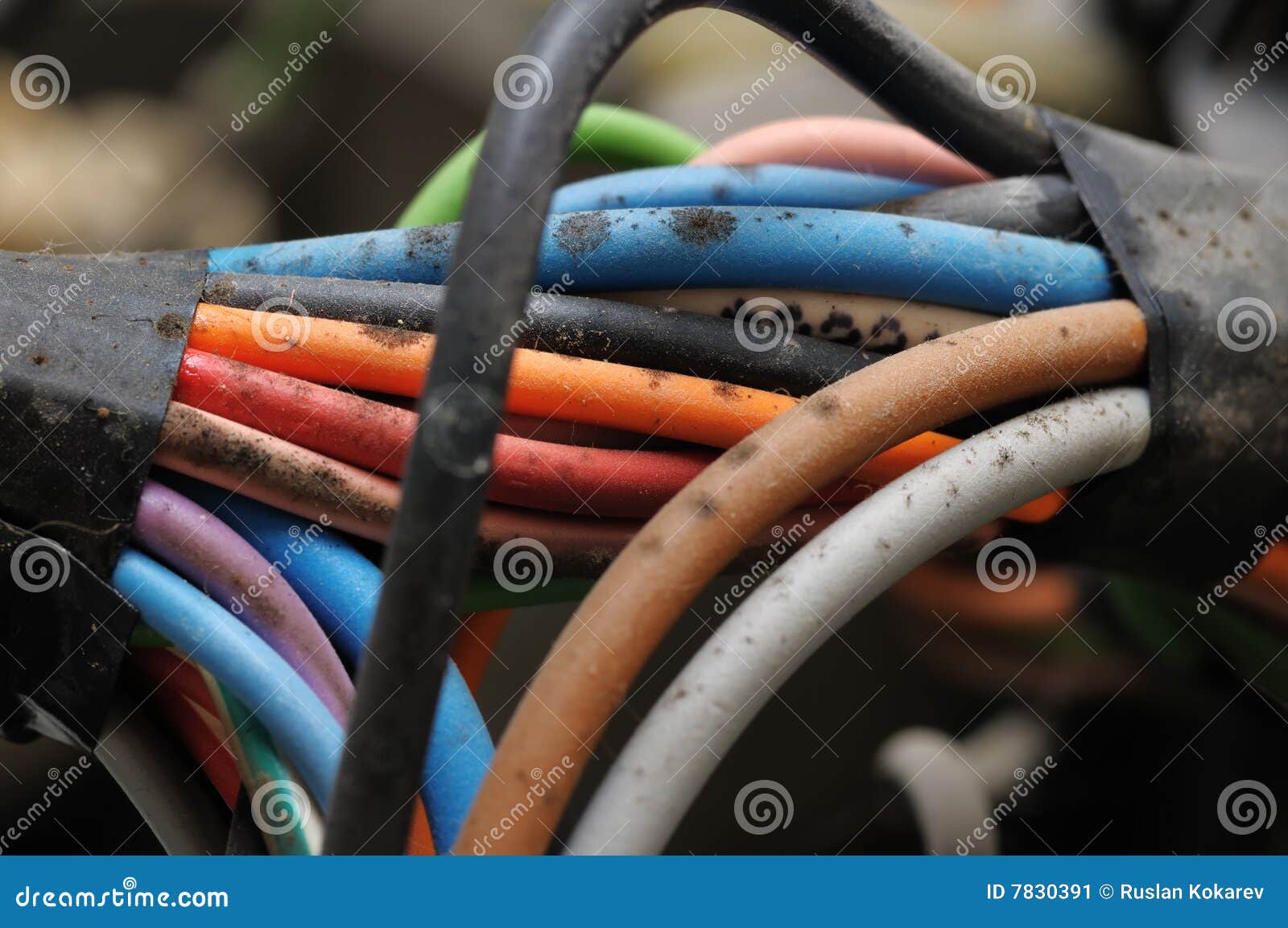 Moldy electric cables. stock image. Image of electricity - 7830391