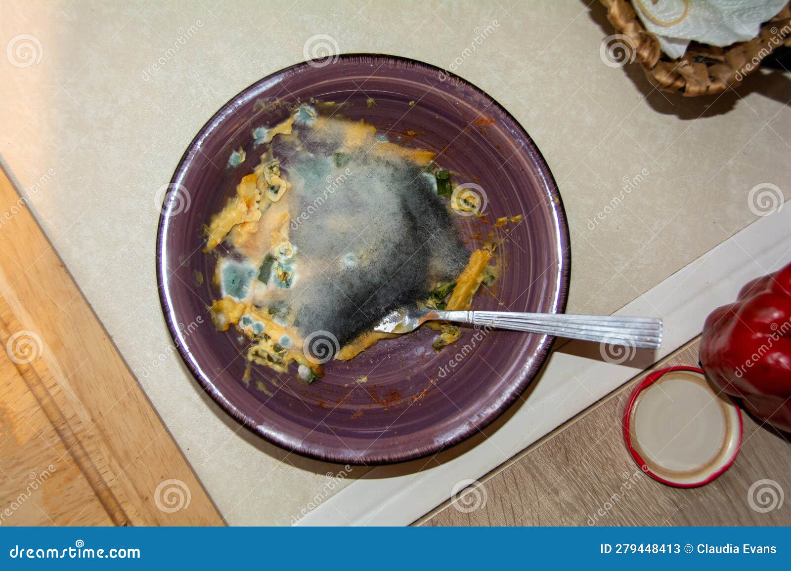 Moldy food on a plate stock image. Image of mildew, dangerous - 279448413