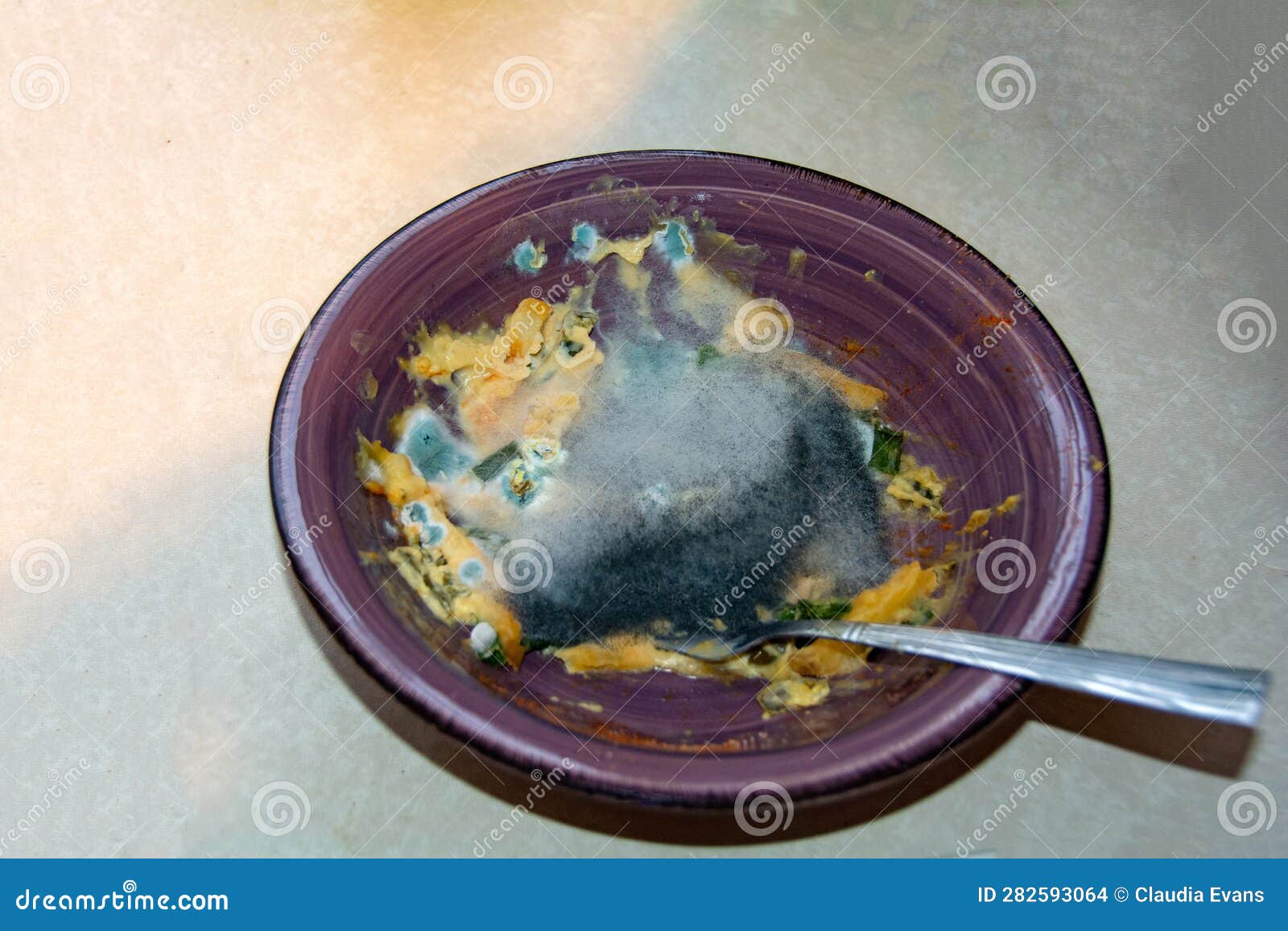 Moldy food on a plate stock photo. Image of plate, spoiled - 282593064