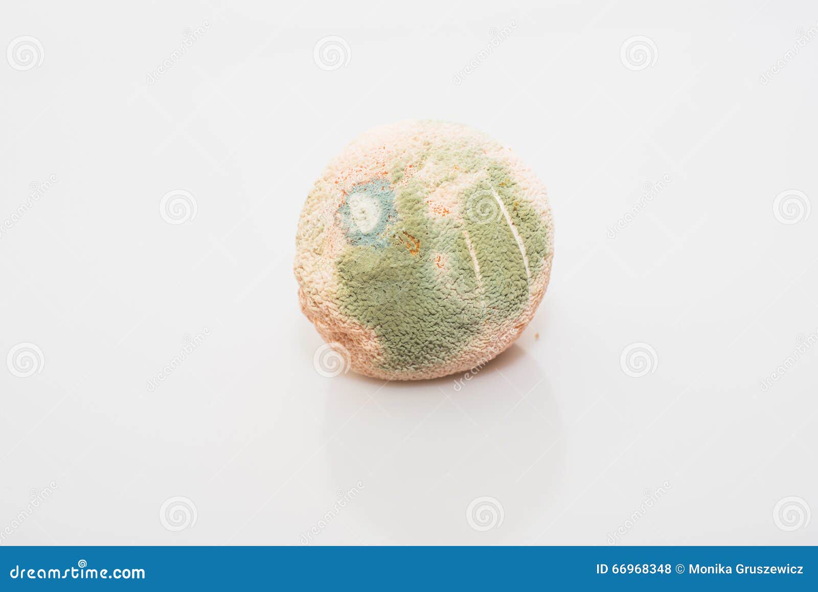 Moldy fruit orange. stock photo. Image of germ, vitamin - 66968348
