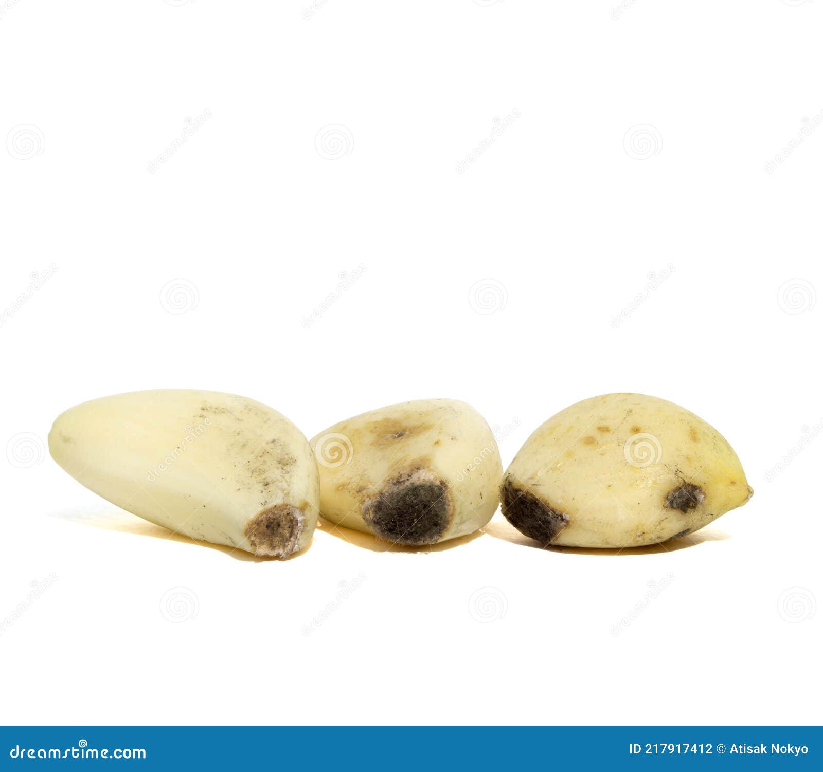 Garlic Split into Moldy Heads. Stock Photo - Image of copy, green ...
