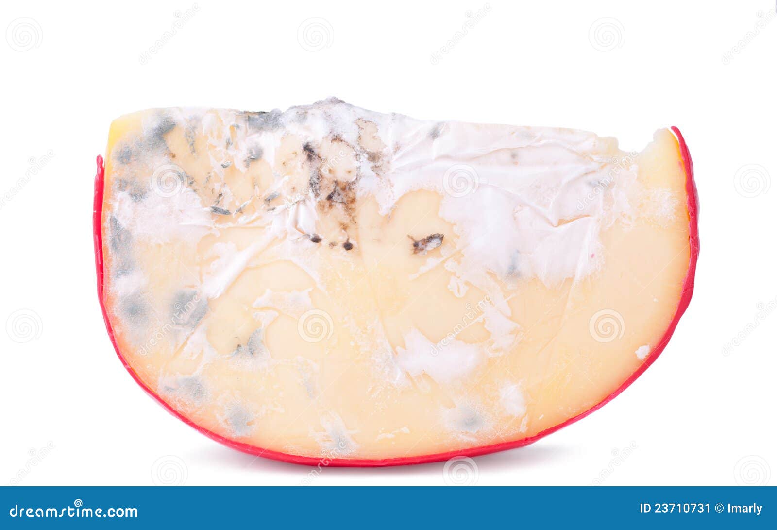 Moldy gouda cheese stock image. Image of mould, uneatable - 23710731