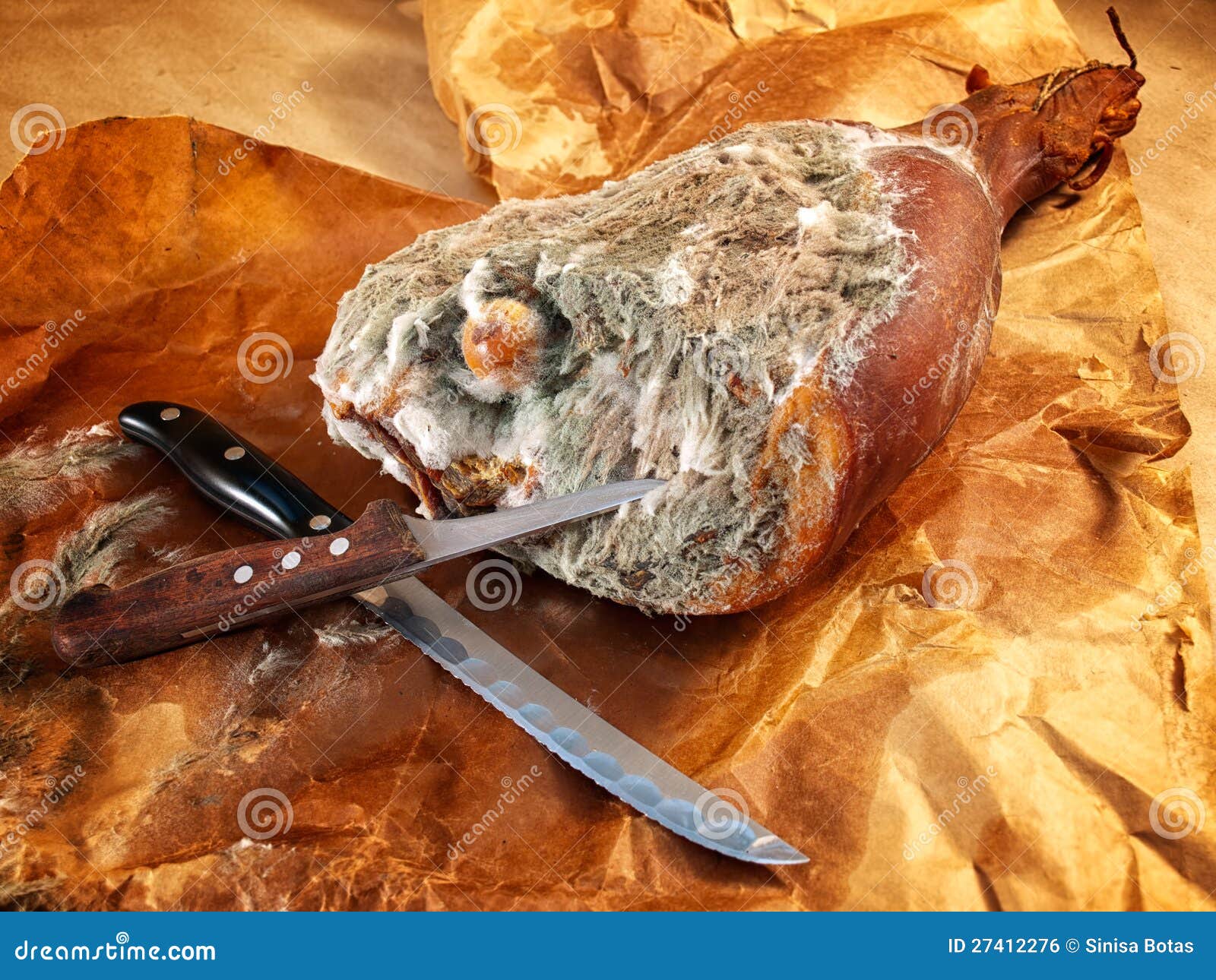 Moldy ham stock photo. Image of tasty, traditional, coldcut - 27412276