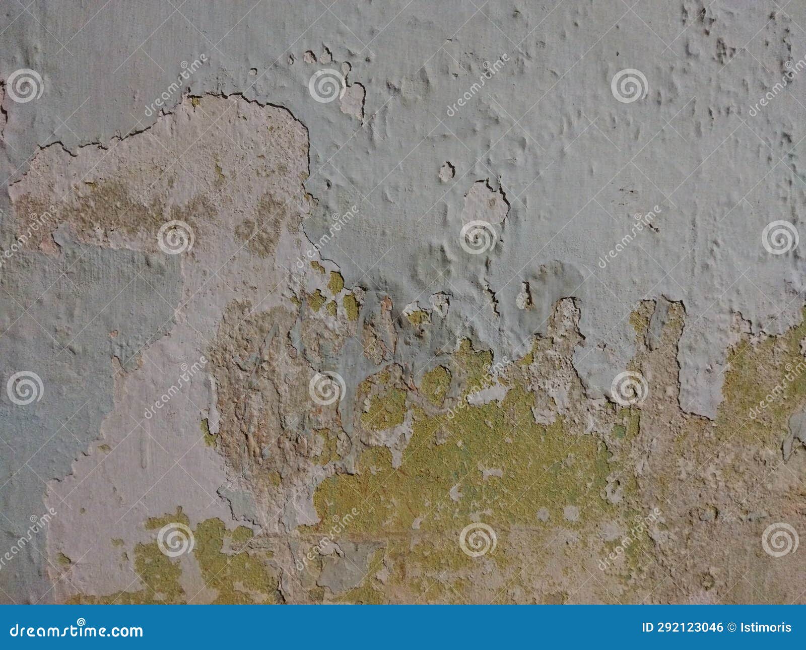 Moldy house walls stock photo. Image of green, geology - 292123046