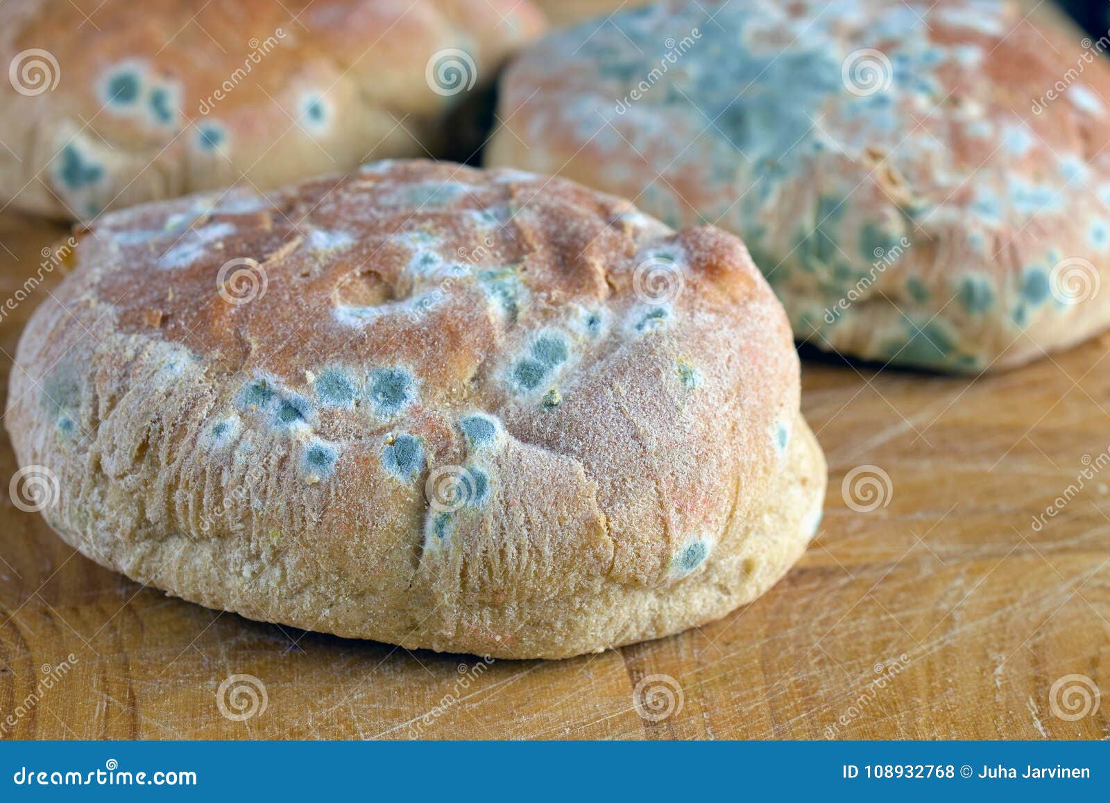 10,994 Mold Bread Stock Photos - Free & Royalty-Free Stock Photos from ...
