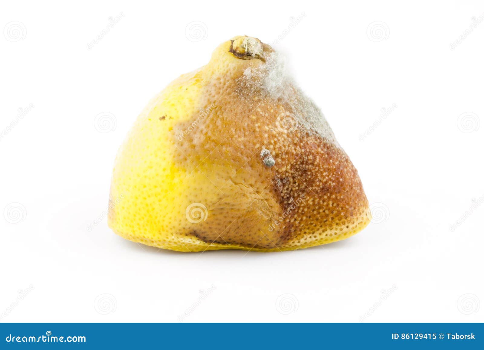 Moldy Lemon on White Background Stock Image - Image of moldy, food ...