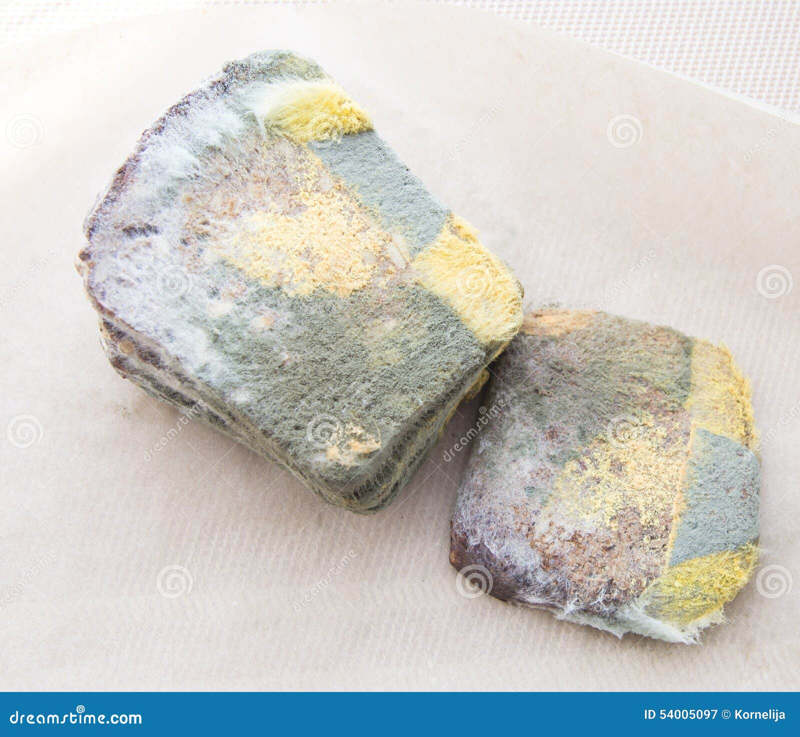 Moldy Loaf of Bread stock image. Image of disgust, drink - 54005097