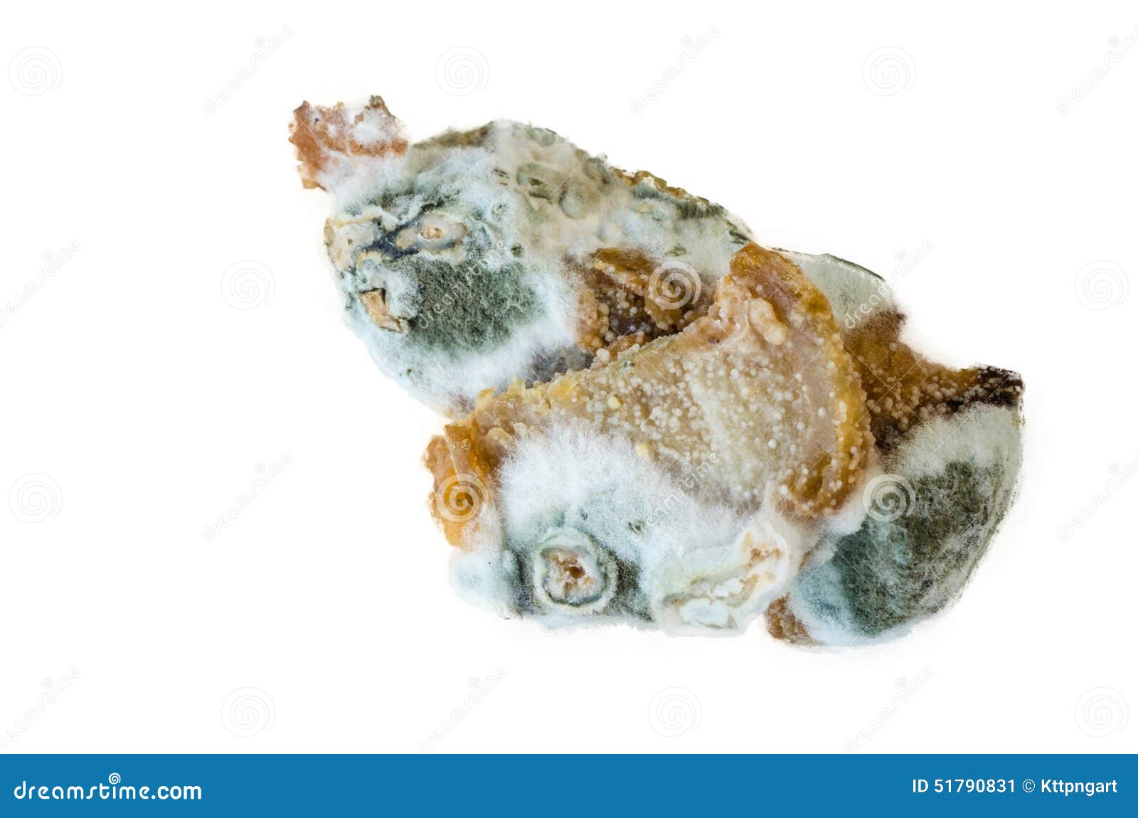 Moldy meat stock image. Image of fungus, mold, harmful - 51790831