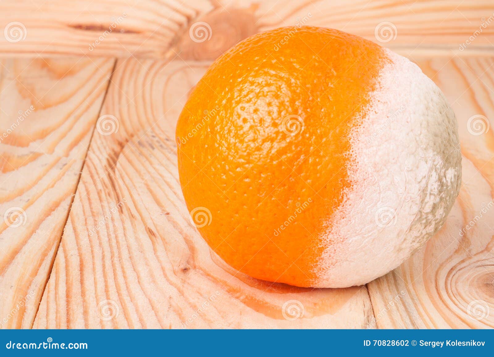 Moldy Orange on a Light Board Close-up Macro Stock Photo - Image of ...