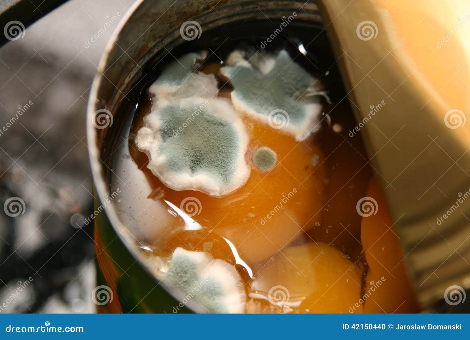 Moldy peaches stock photo. Image of mold, trichoderma - 42150440