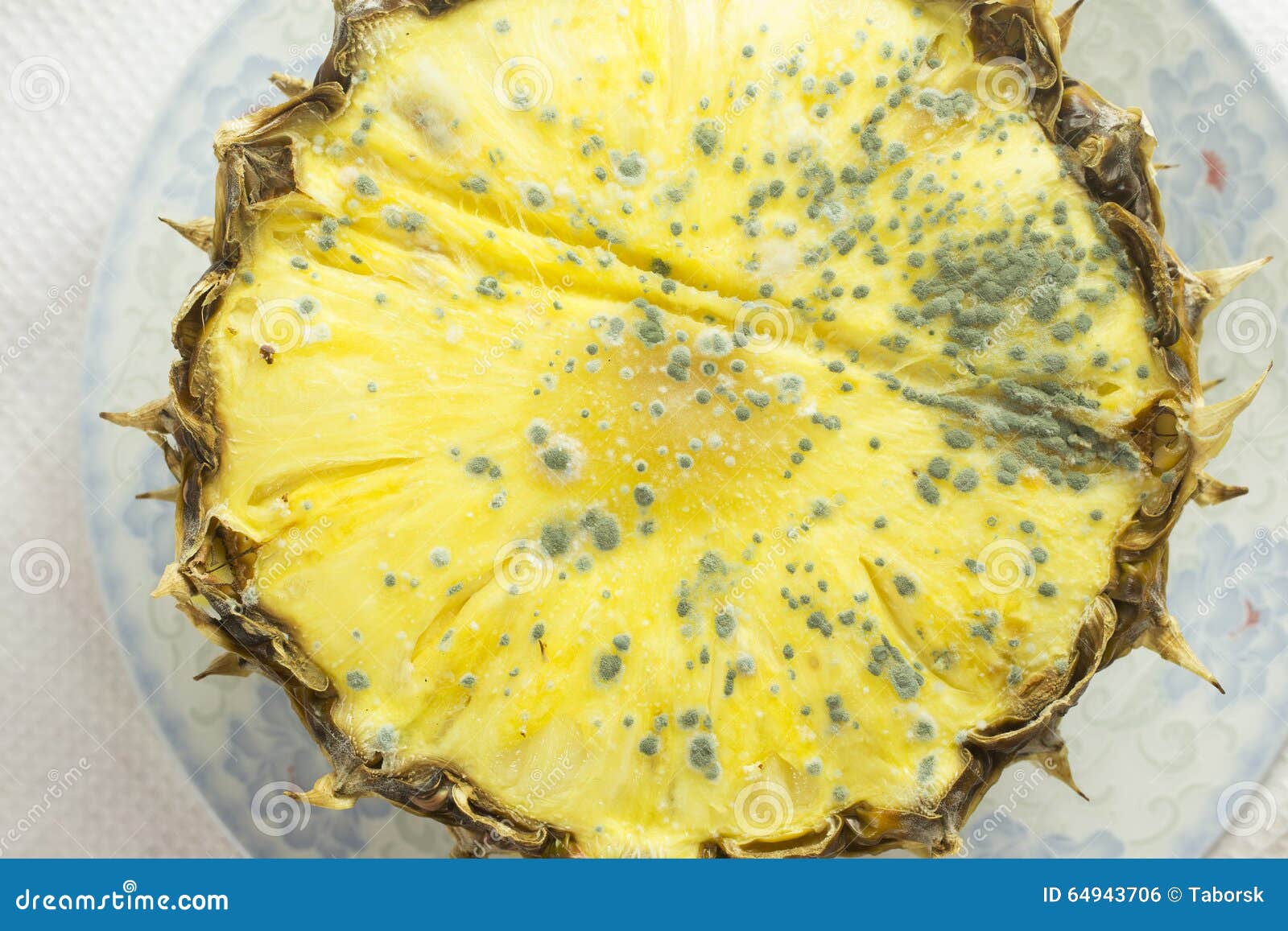 Moldy pineapple stock photo. Image of disgusting, mold - 64943706