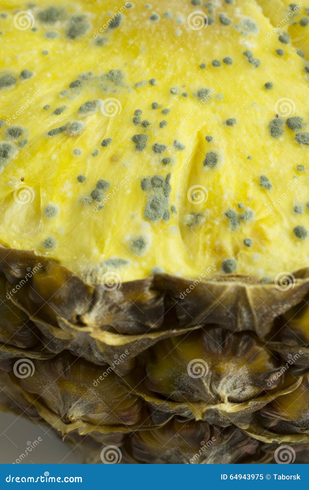 Moldy pineapple stock image. Image of natural, disgusting - 64943975
